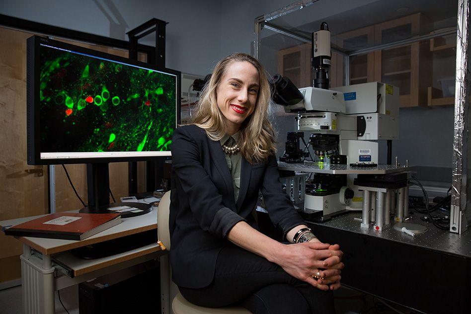 Seeking materials that match the brain | Brain and Cognitive Sciences