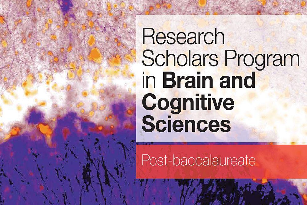 Department of Brain and Cognitive Sciences launches post-baccalaureate ...